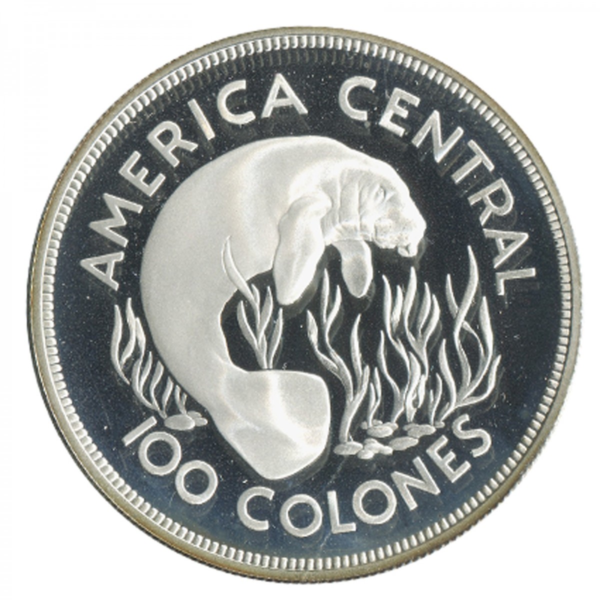 100 Colones Costa Rica Argent Monnaies Argent